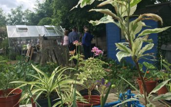 Sunlight Development Trust